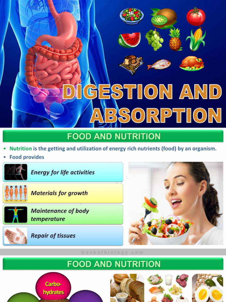 Digestion N Absorption | PDF