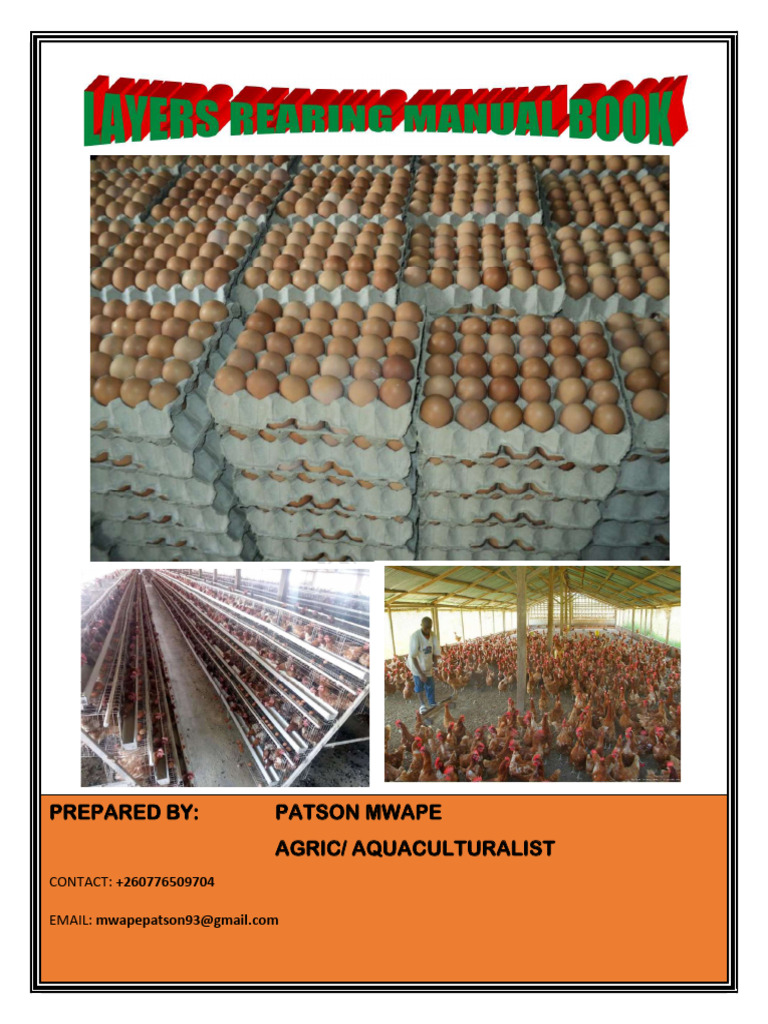 Layer Poultry Farming Guide PDF | PDF | Poultry Farming