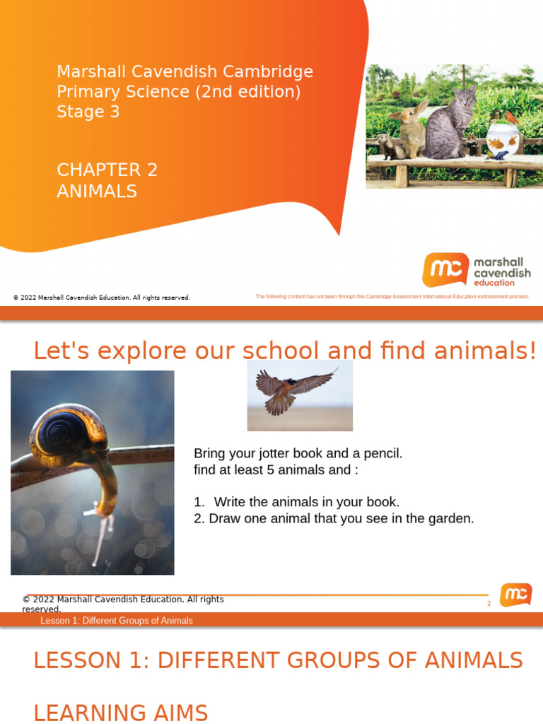 Understanding Animal Groups and Life Cycles | PDF | Egg | Amphibian