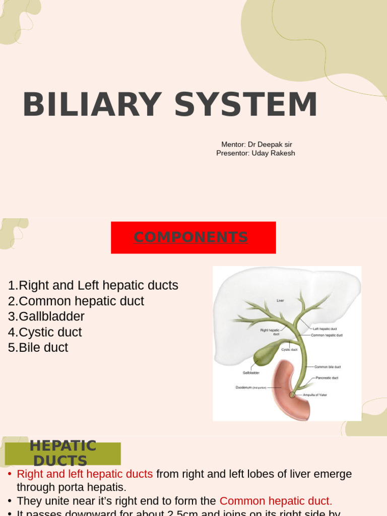 Anatomy and Function of the Biliary System | PDF | Gallbladder | Pancreas