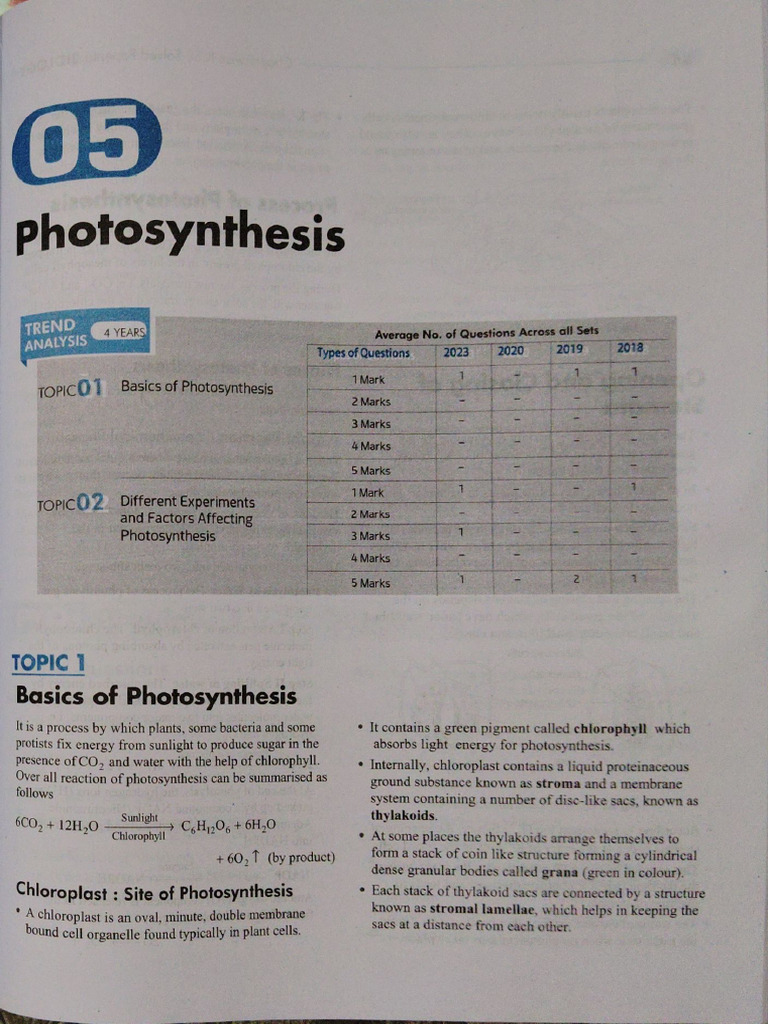 Photosynthesis | PDF