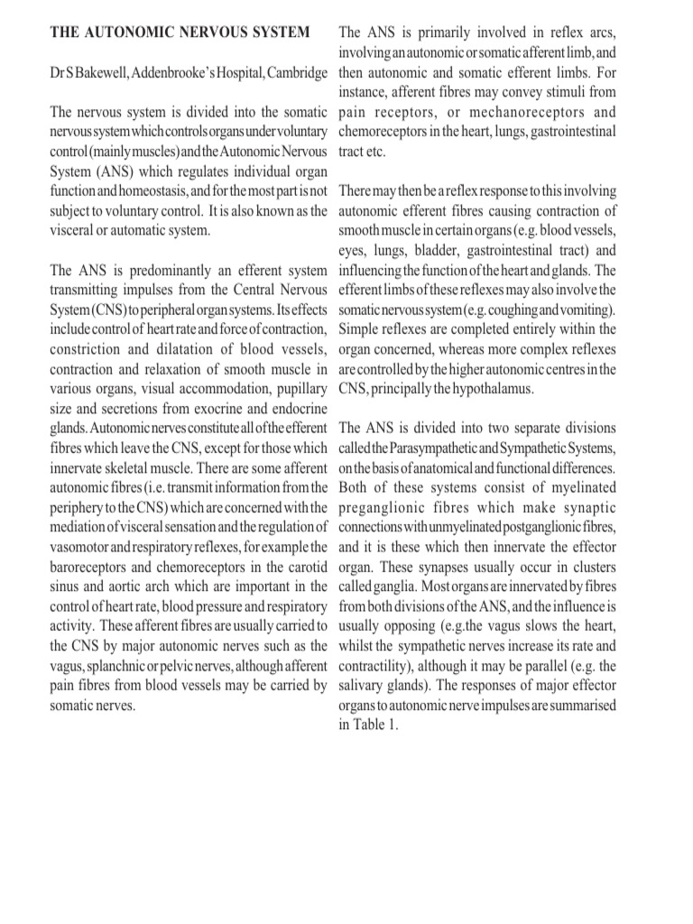 Understanding the Autonomic Nervous System | PDF | Acetylcholine ...