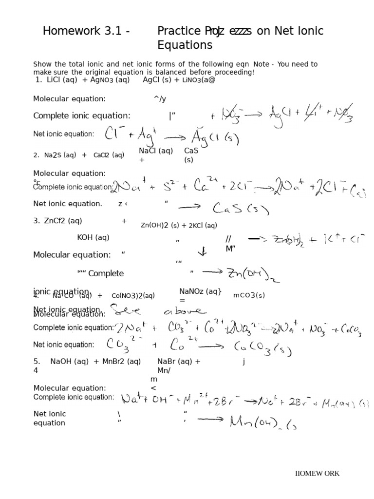 Net Ionic Equations Homework Guide | PDF | Chemistry