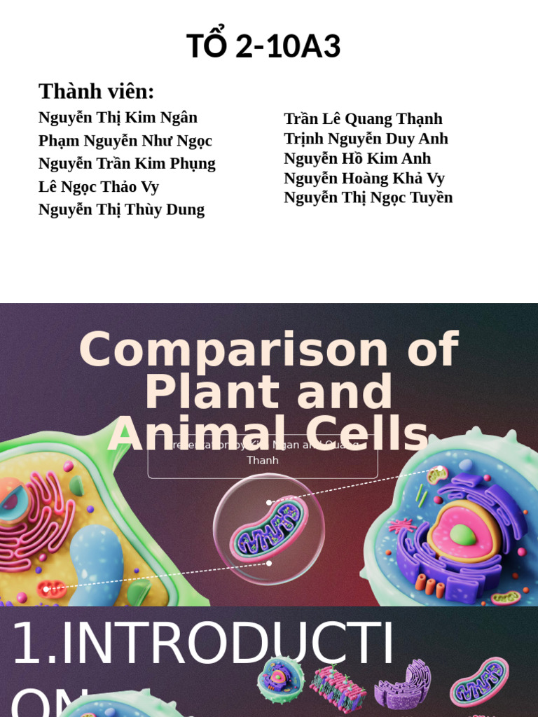 Animal Cell vs. Plant Cell To210A3pptx - 1 | PDF | Endoplasmic ...
