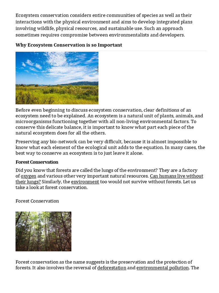 Importance of Ecosystem and Forest Conservation | PDF | Ecosystem ...