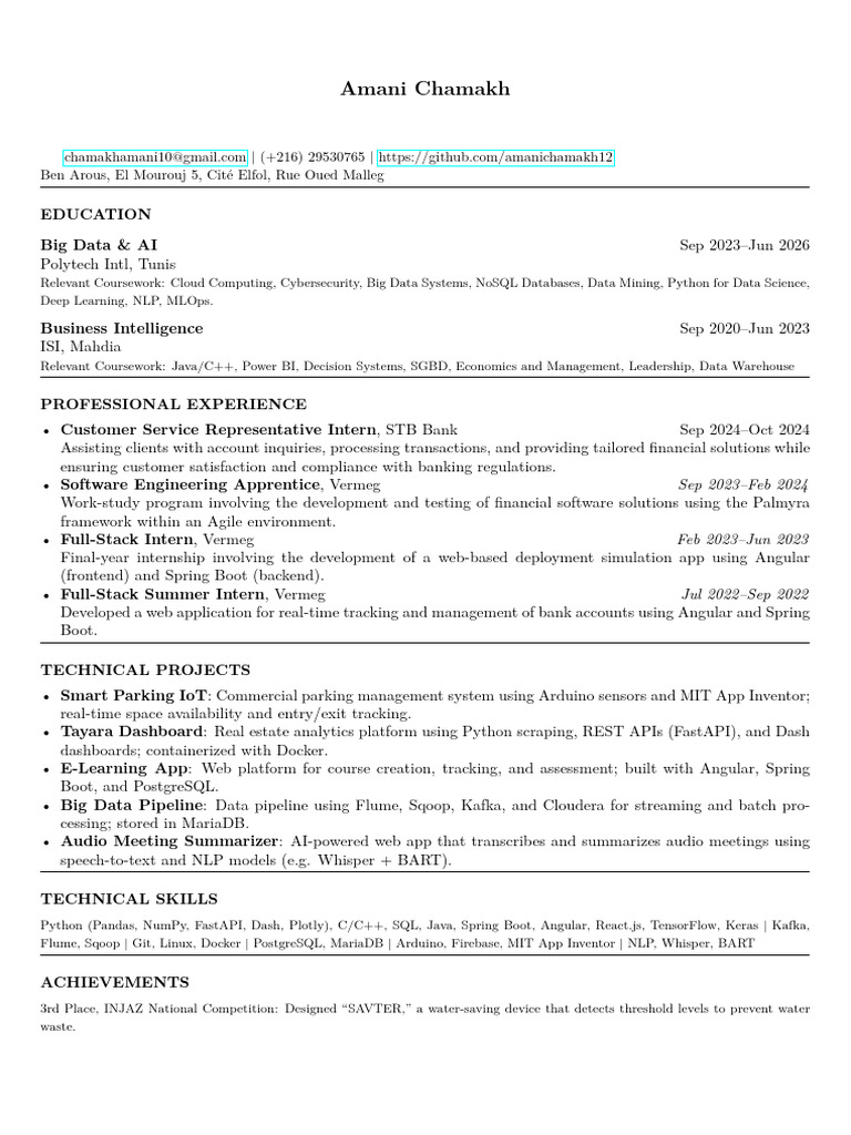 CV Amani Chamakh | PDF | Computing | Information Technology