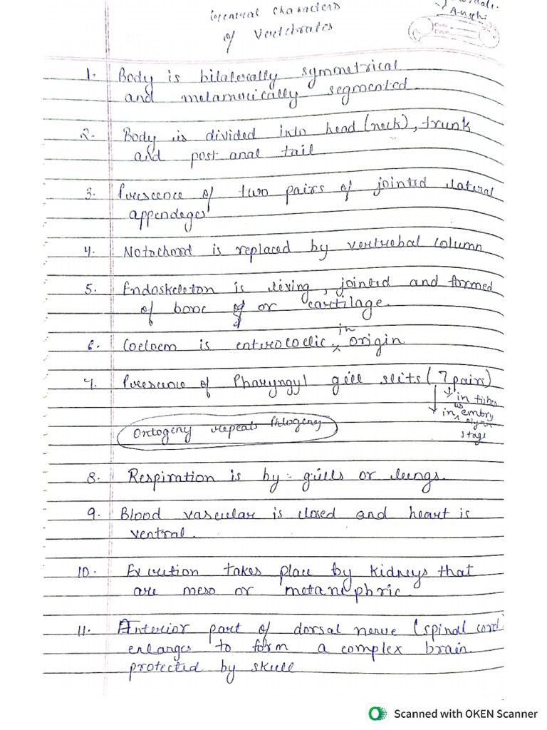 DOC-20251019-WA0028. Zoology Notes Classification Upto Order | PDF