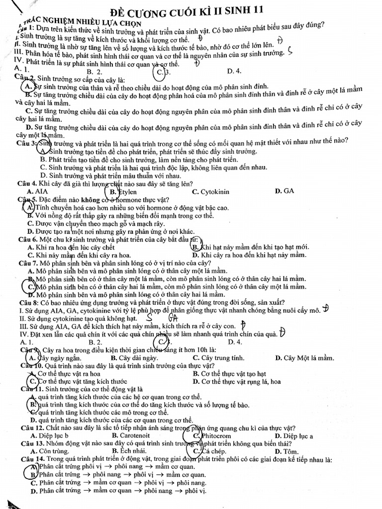 Final Exam Outline - Biol | PDF