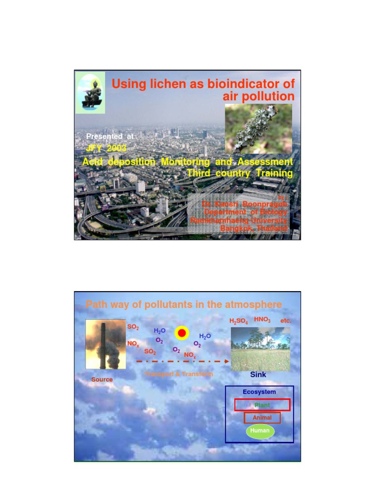 Using lichen as bioindicators of air pollution | PDF | Chlorophyll ...