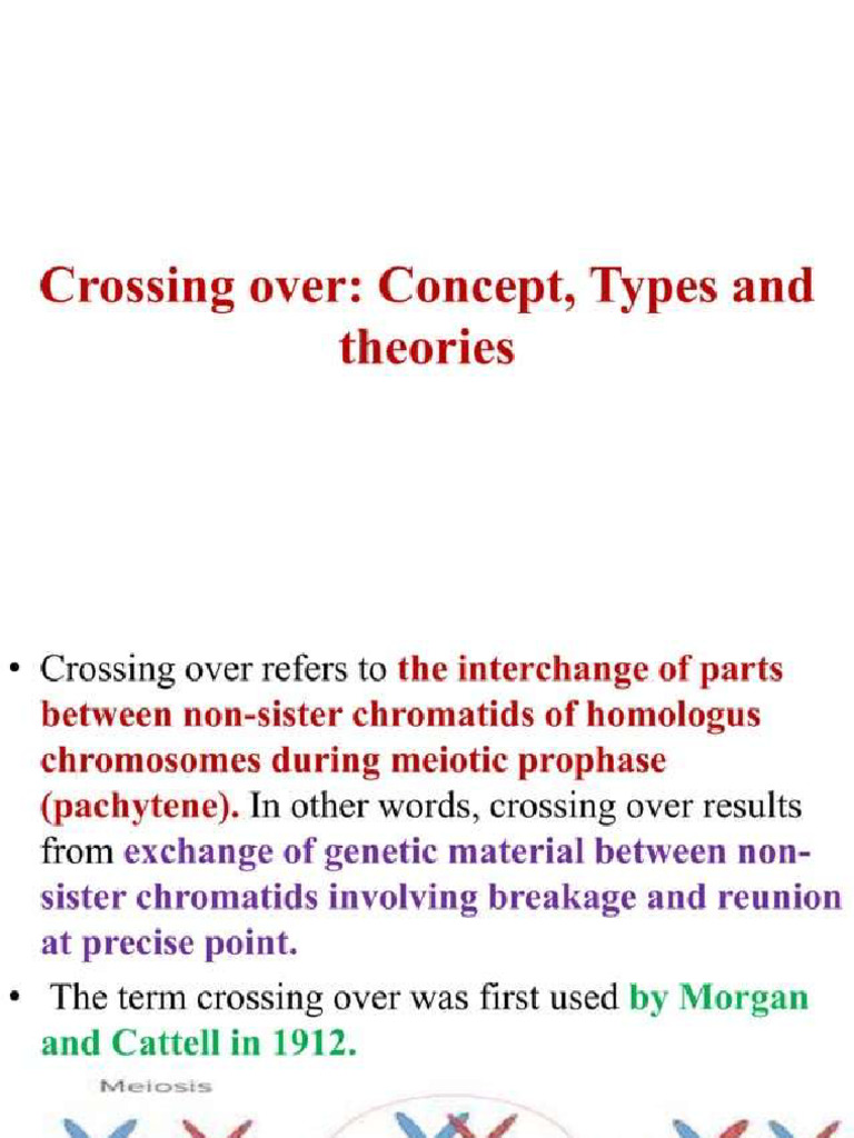 Mechanisms of Genetic Crossing Over | PDF