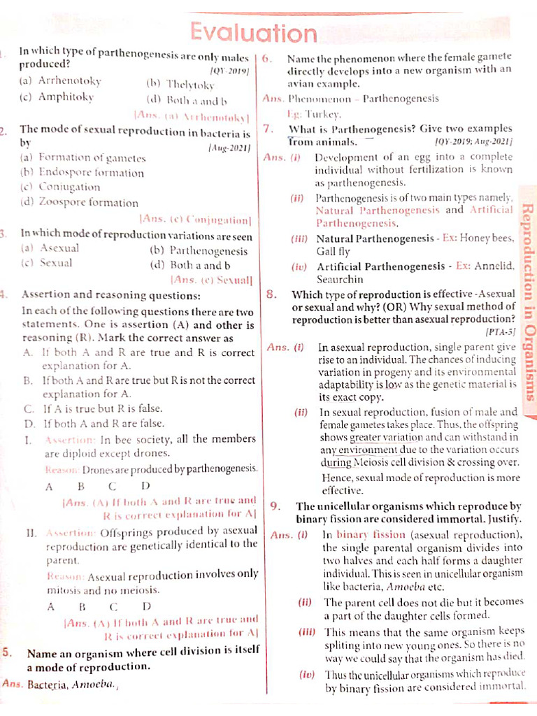 Class 12, Chap1 Book Back Questions | PDF