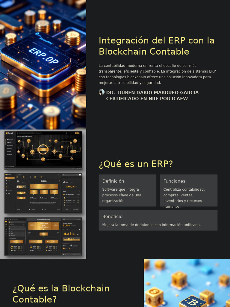 Integracion Del ERP Con La Blockchain Contable | PDF | Planificación de ...