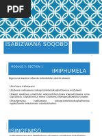 Isabizwana Soqobo: Izibonelo Nezincazelo | PDF
