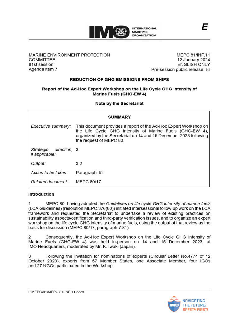 MEPC 81-INF.11 - Report of The Ad-Hoc Expert Workshop On The Life Cycle ...
