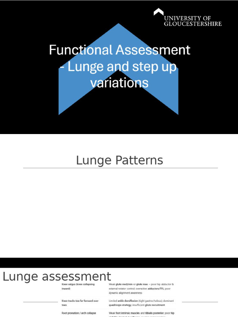 Functional Testing - Lunge, Step Ups and Conclusion | PDF | Pelvis | Hip