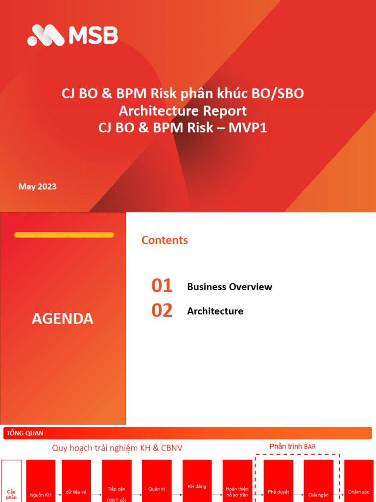 b1_226_119 Bpm Phê Duyệt Common & Bo Sbo | PDF