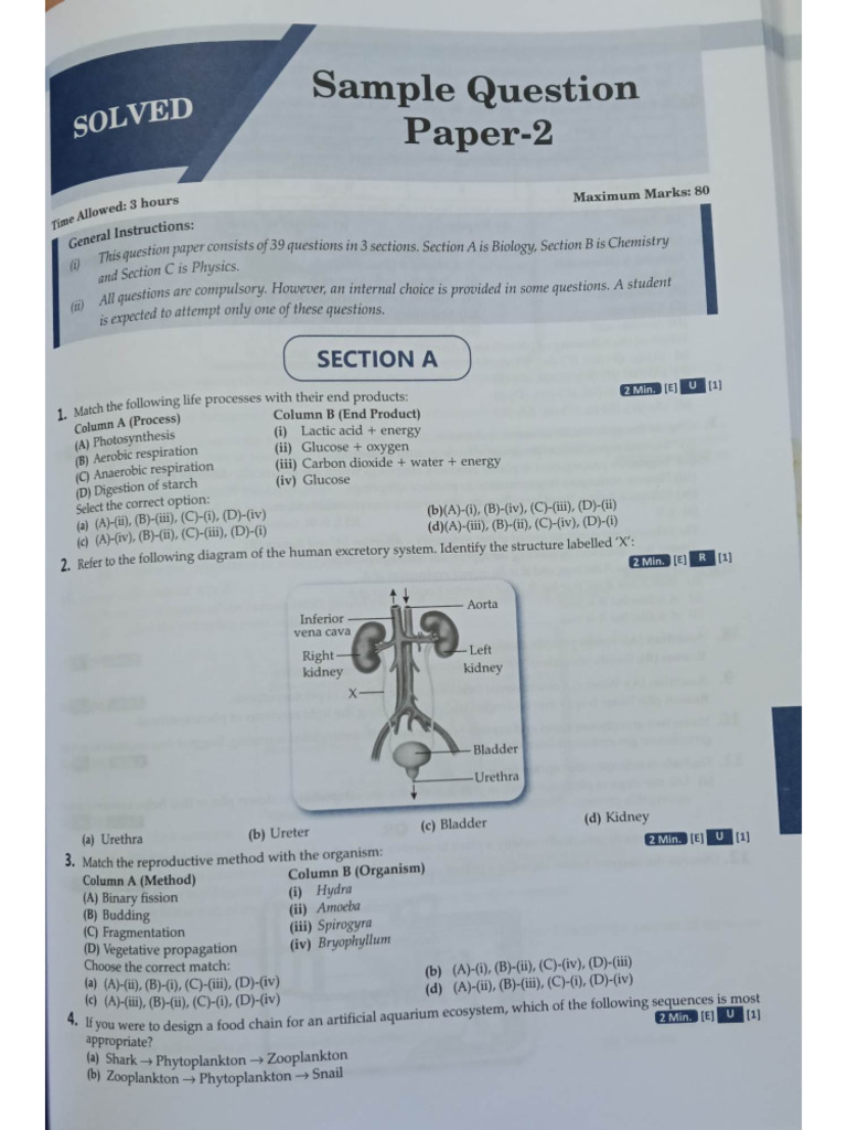 Ramu Sample Paper2-Compressed | PDF