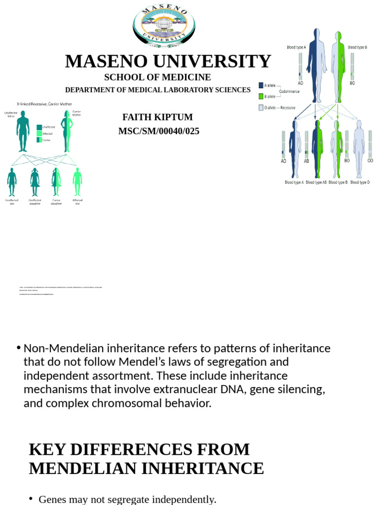 Non Mendelian Presentation | PDF | Mitochondrial Dna | Zygosity