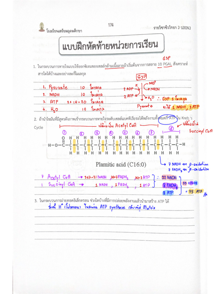Tripad: 1. 10 Pgal | PDF