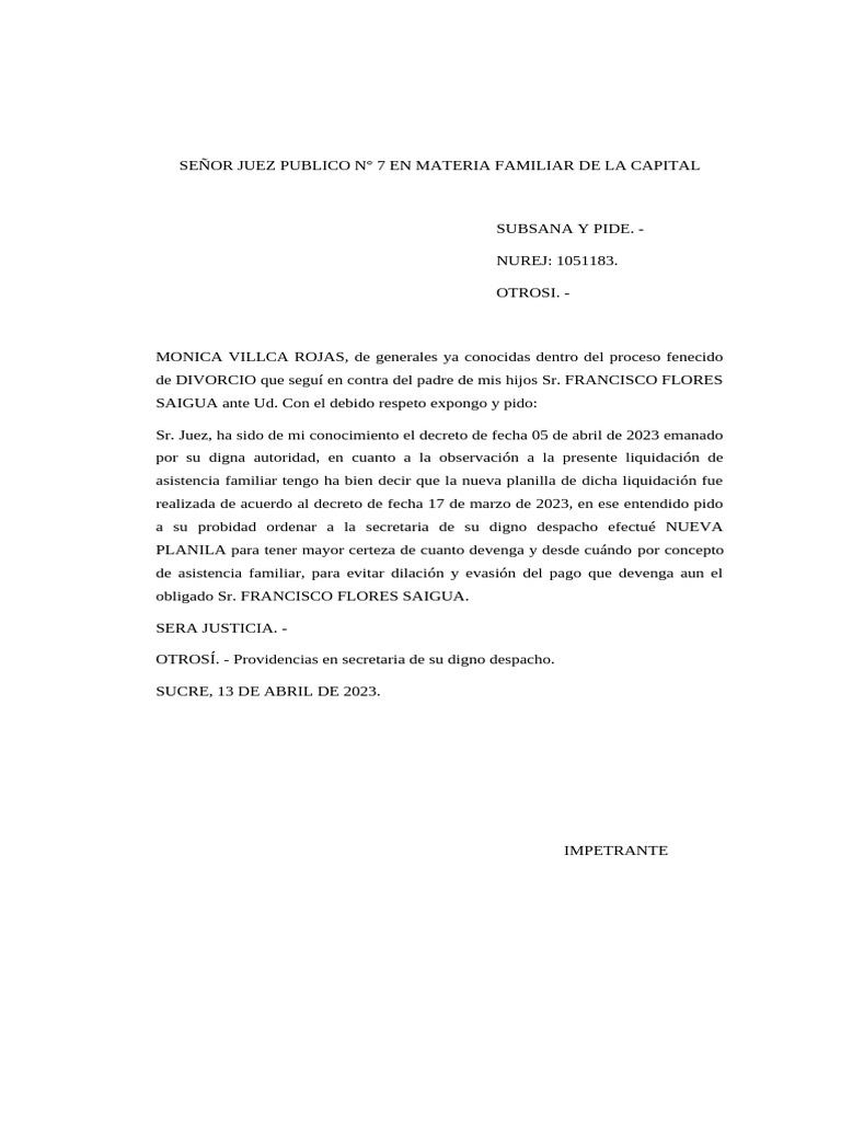 Cumple Con Lo Ordenado y Solicita Monica Villca Rojas | PDF