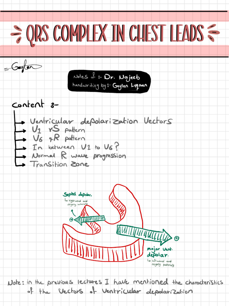7 - QRS Complex in Chest Leads | PDF | Electrocardiography | Internal ...
