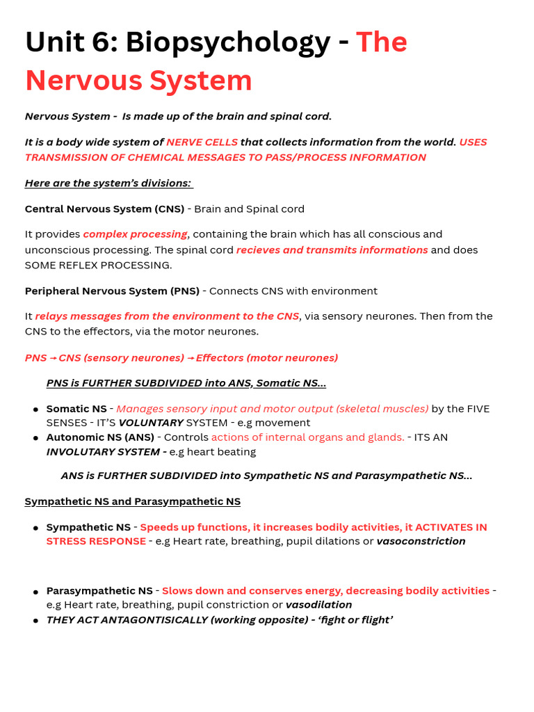 Unit 6 Biopsychology - The Nervous System and Endocrine System | PDF ...