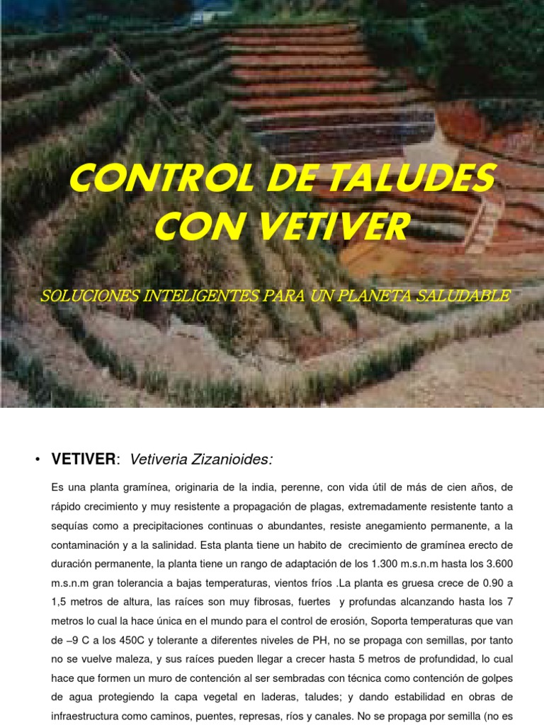 Vetiver: Control Ecológico de Taludes | PDF | Horticultura y jardinería ...