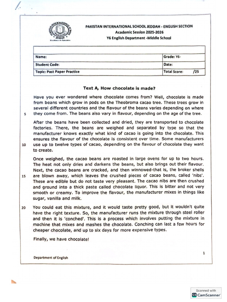 Y6 English PP Practice 1 | PDF