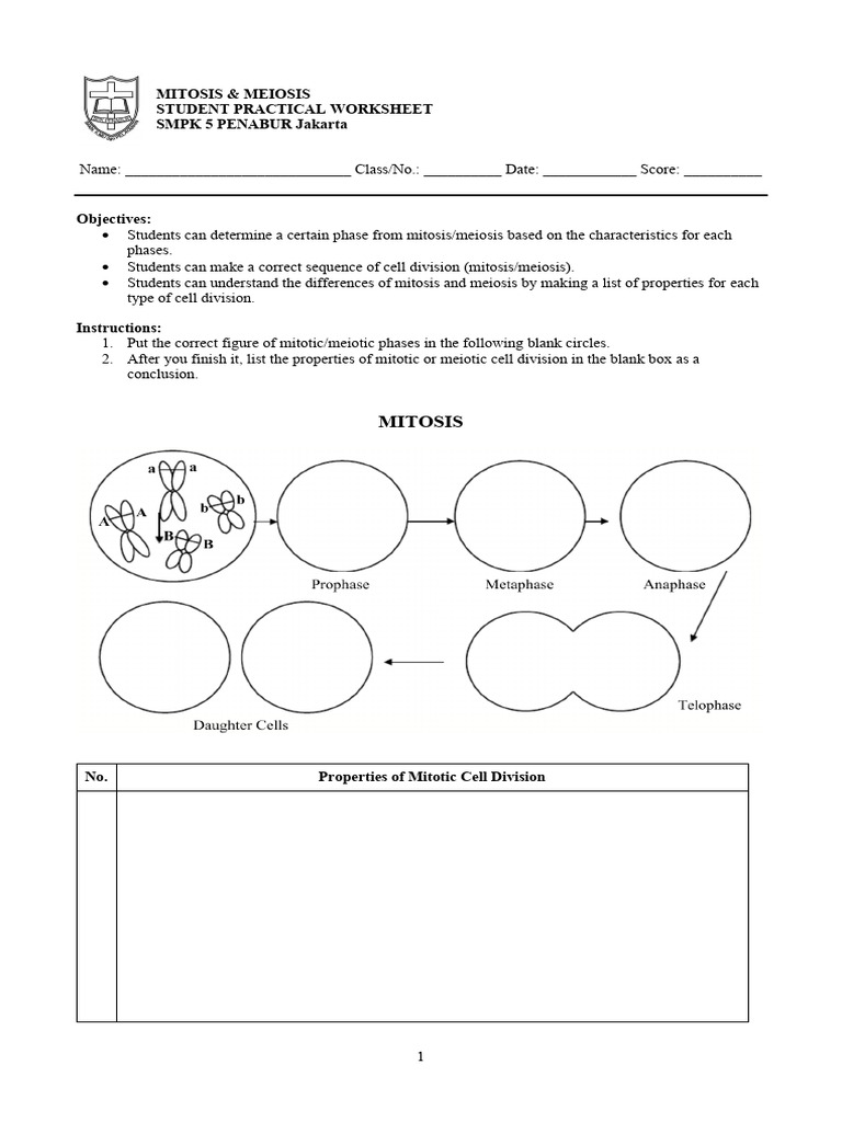 PS 2-Mitosis & Meiosis | PDF
