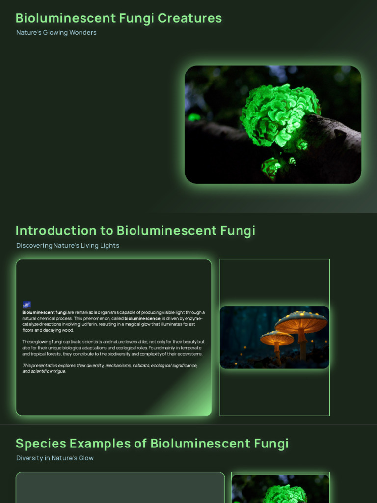 Brightest Bioluminescent Fungi Species | PDF | Fungus | Organisms