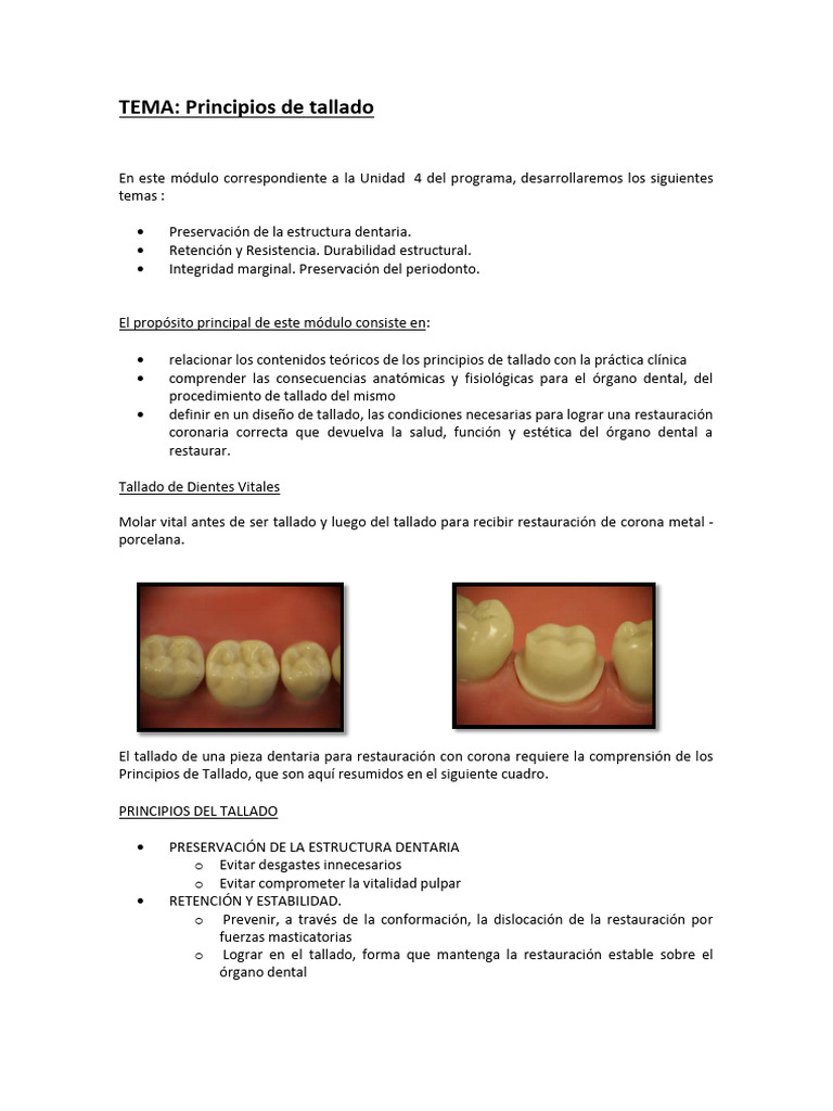 Principios Esenciales del Tallado Dental | PDF | Diente humano | Ramas ...