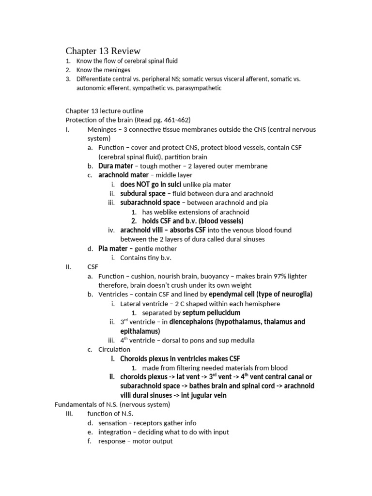 ch 13 lecture outline | PDF | Spinal Cord | Cerebrospinal Fluid