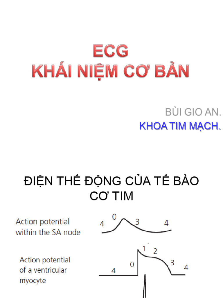 1. BASIC ECG | PDF