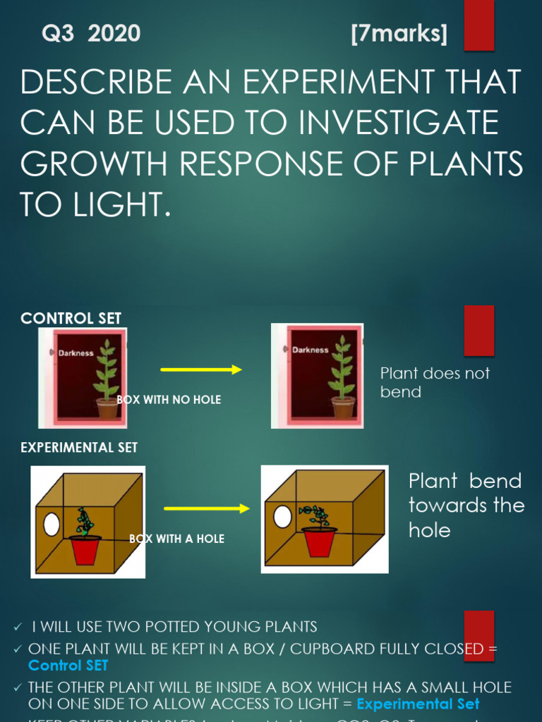 Plant Growth Experiment: Light Response | PDF
