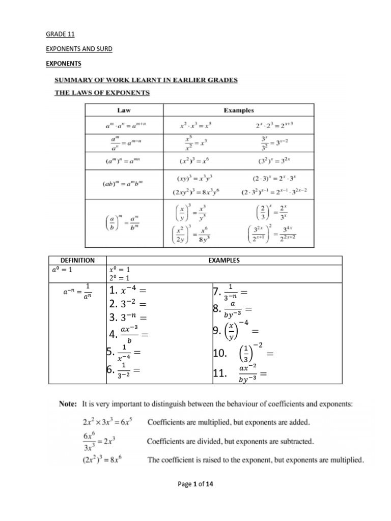 Grade 11 Exponents and Surds Guide | PDF