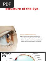 Sheep Eye Dissection Lab Guide | PDF | Eye | Facial Features
