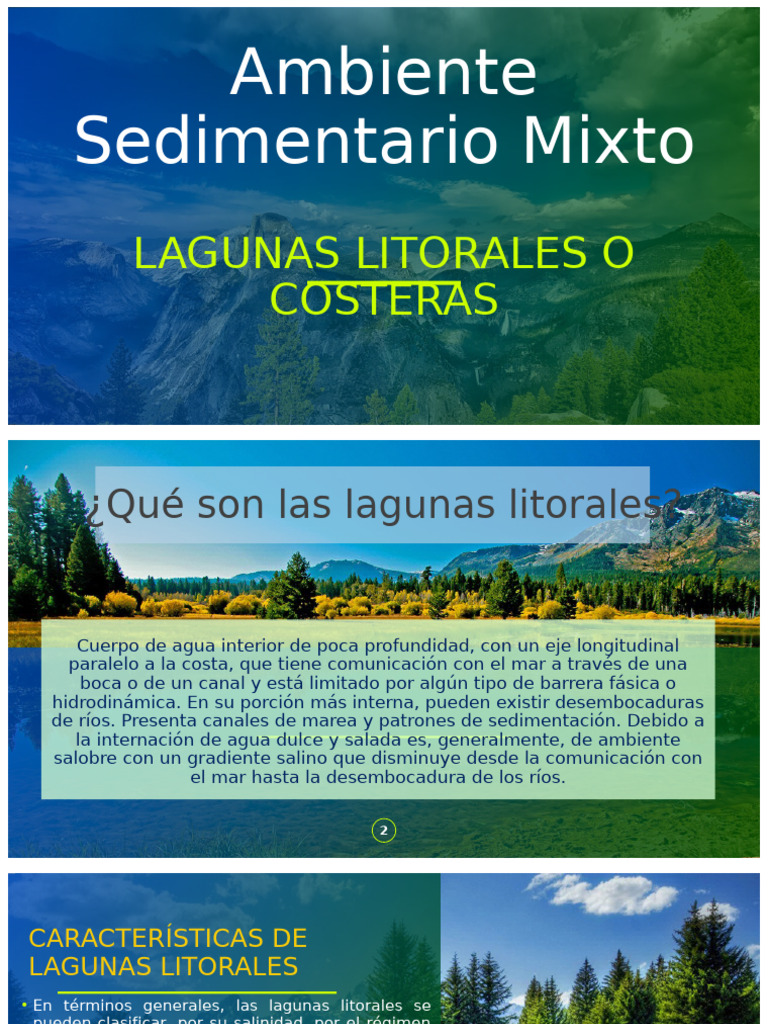 Ambiente Sedimentario Mixto 1 | PDF | Roca sedimentaria | Costa