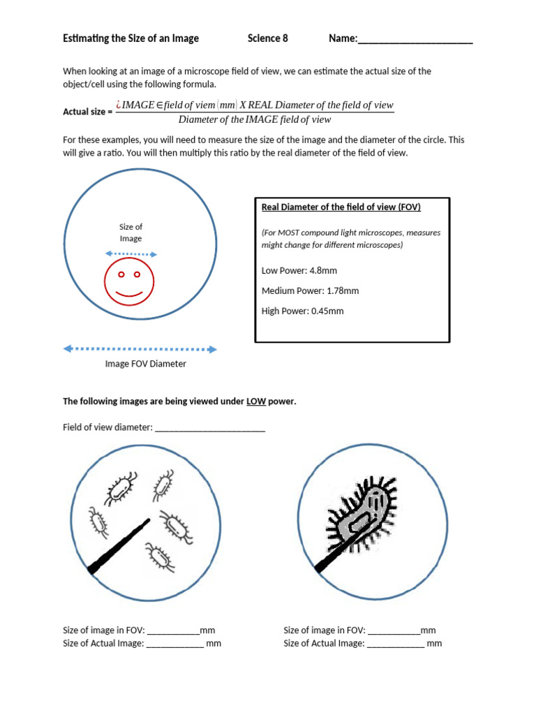 1 Field of View Worksheet | PDF