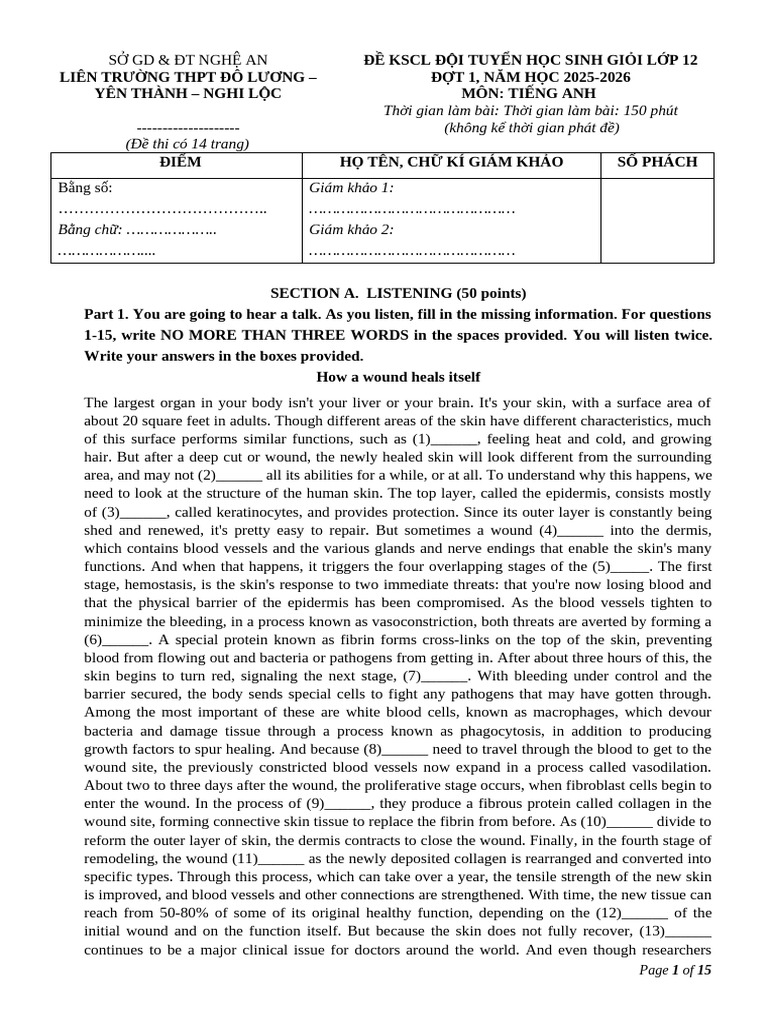 Grade 12 English Proficiency Exam 2025-2026 | PDF | Skin | Healing
