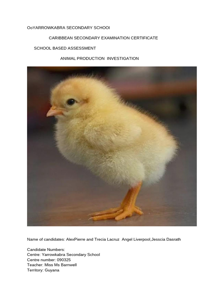 Garlic-Ginger Impact on Broiler Growth | PDF | Diet (Nutrition) | Diet ...
