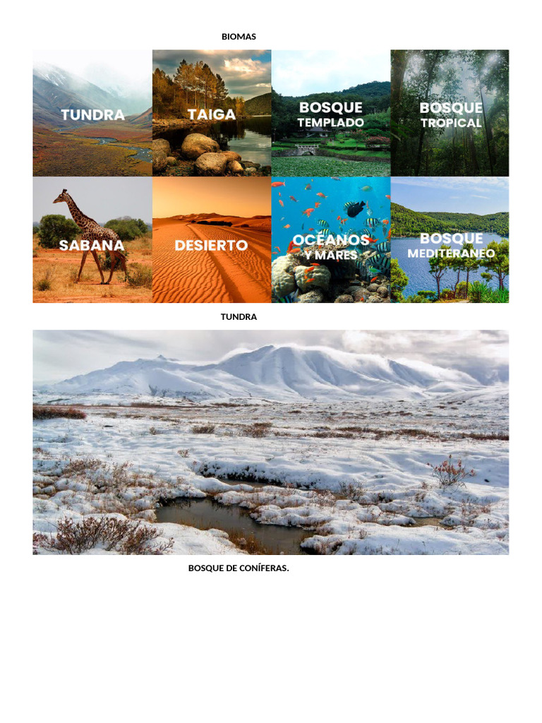 BIOMAS | PDF | Desierto | Entorno natural