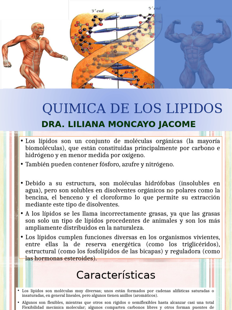 Química y Clasificación de Lípidos | PDF | Ácido graso | Lípido