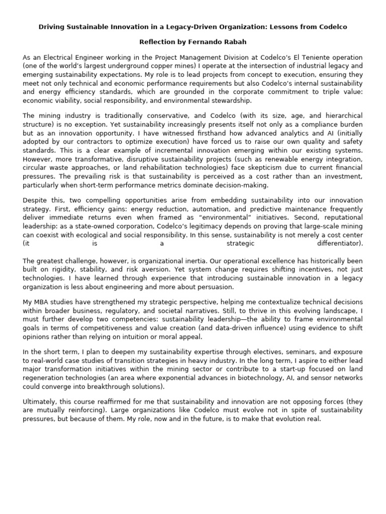 Sustainable Innovation Reflection | PDF | Sustainability | Innovation
