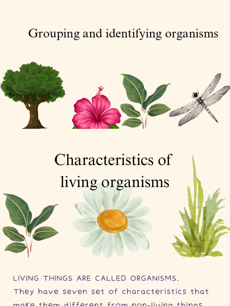 Biology Notes - Characteristics of Living Organisms | PDF | Cellular ...