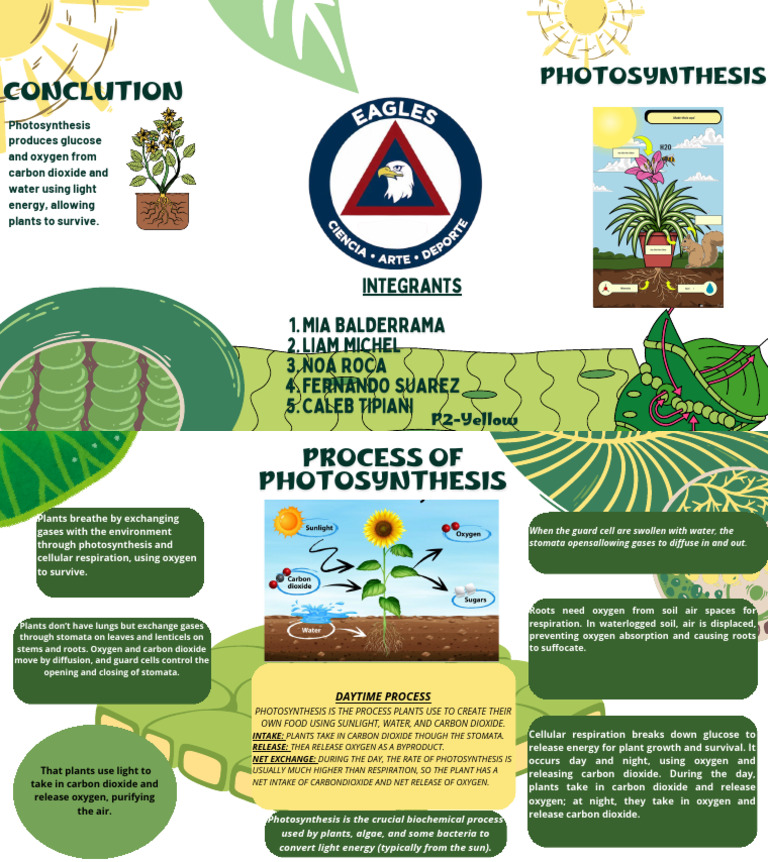 Green Playful Plant Science Group Project Presentation PDF | PDF ...