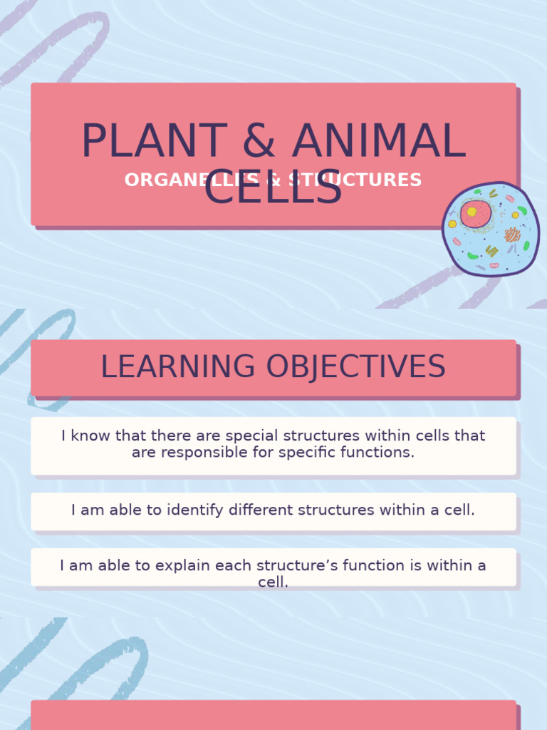 Cell Organelles & Structures Lesson Presentation in Blue and Pink Hand ...