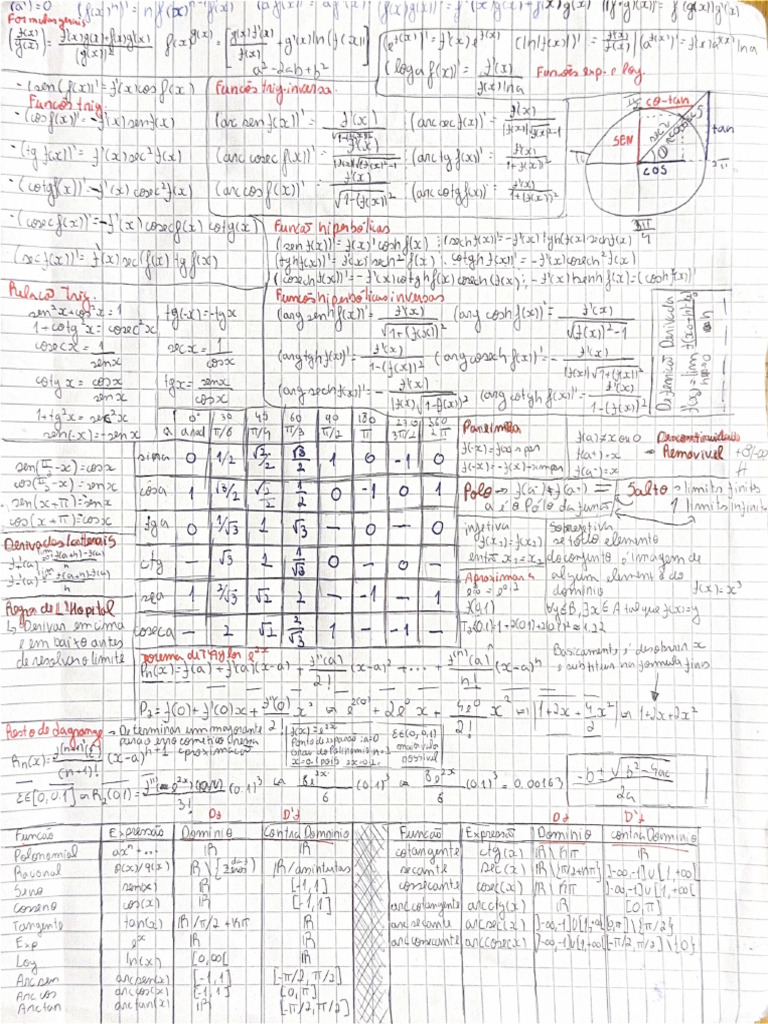 Documento Digitalizado | PDF