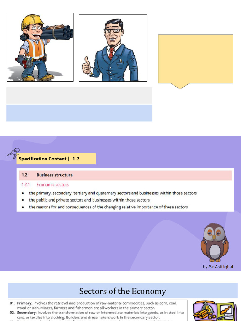 Understanding Business Sectors and Structures | PDF | Franchising | Stocks