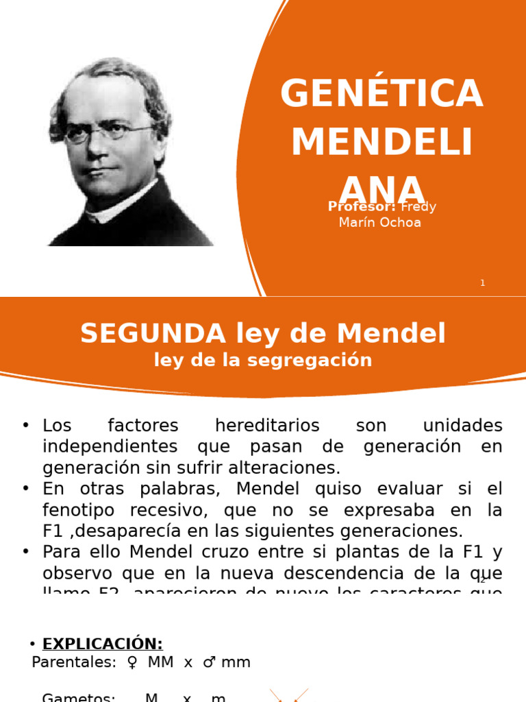 Segunda Ley de Mendel (26174) | PDF | Dominancia (Genética) | Biología
