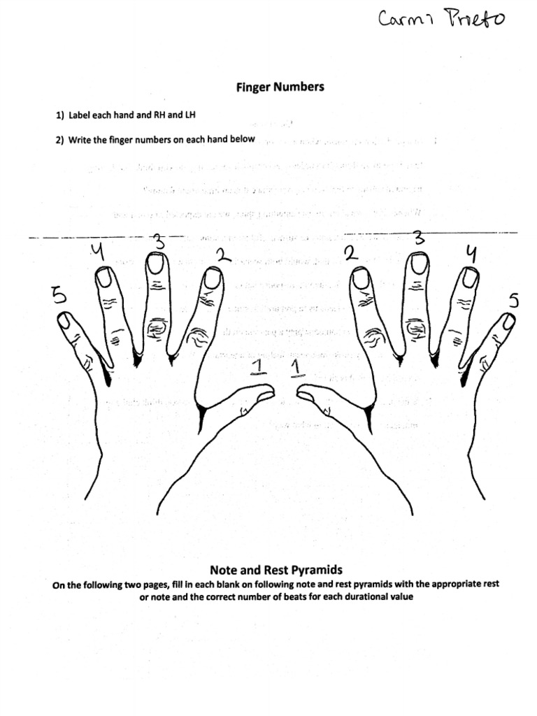 Finger Numbers | PDF